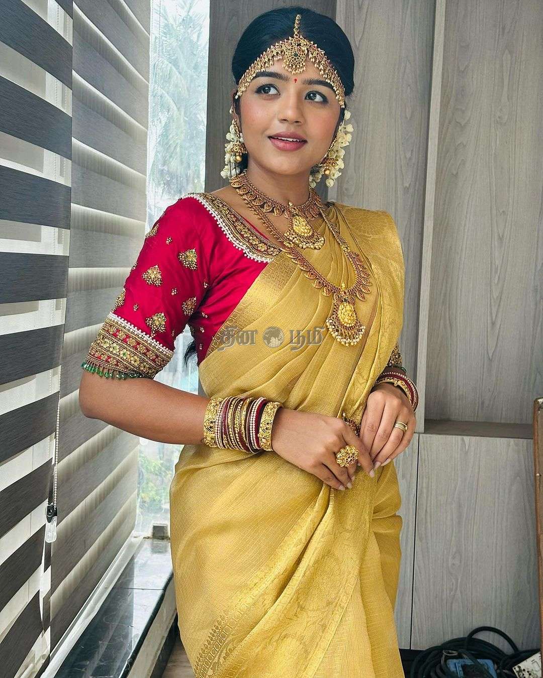 Actress Suveta Shrimpton's Traditional Looks In Silk Saree | தின பூமி